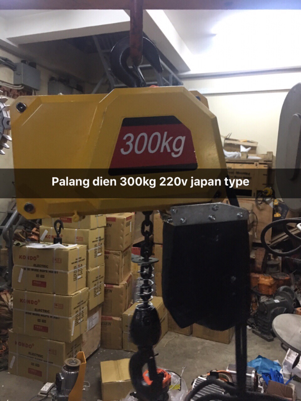 PALANG XÍCH ĐIỆN MINI 300KG KOORFLCO 220V TAIWAN,PALANG ĐIỆN MINI 300KG ...
